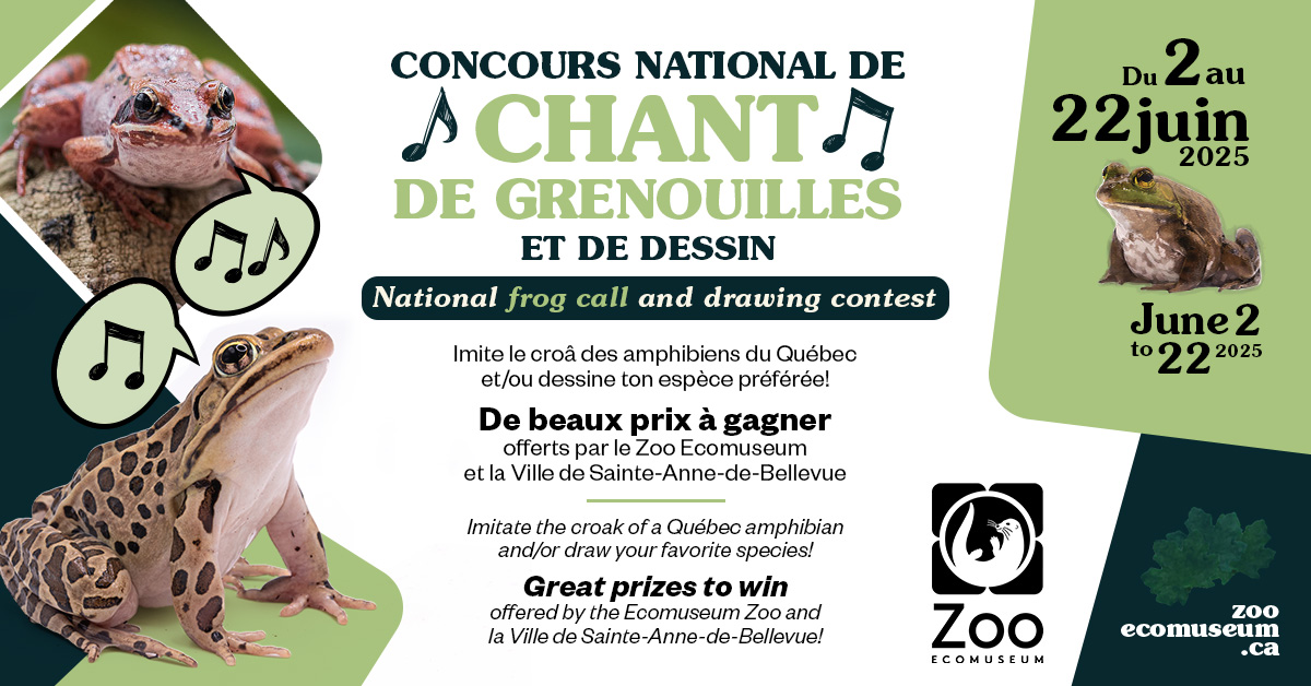 National Frog Call and Drawing Contest